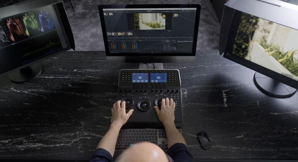 MZed - Mastering Color Joins MZed Pro